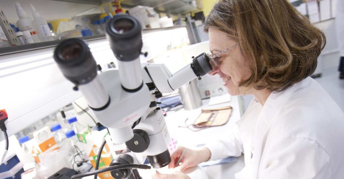 Chain Florey Clinician Scientist Programme – NIHR Imperial Biomedical ...