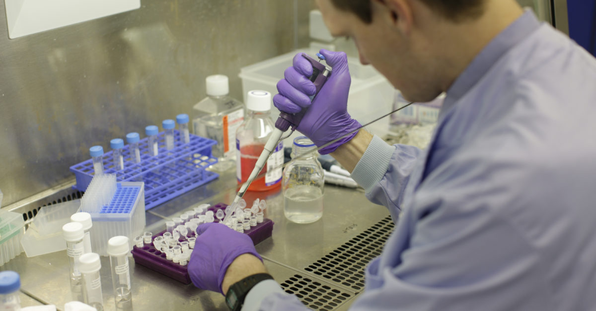 Bacteria-fighting cells in the airways increase infection risk from ...