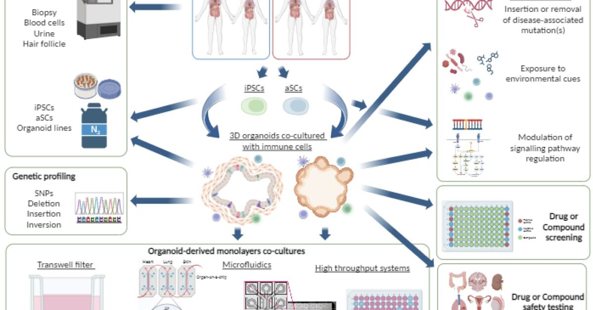 Facilitating access to organoid research for advanced disease modelling ...