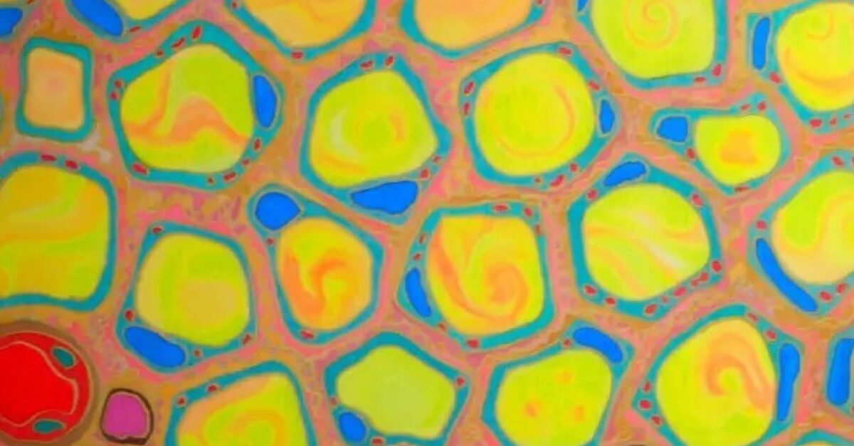 Study uncovers the positive aspects of weight loss in human fat tissue ...